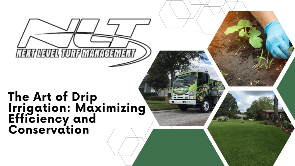 Drip Irrigation: Maximizing Efficiency and Conservation Drip Irrigation: Maximizing Efficiency and Conservation